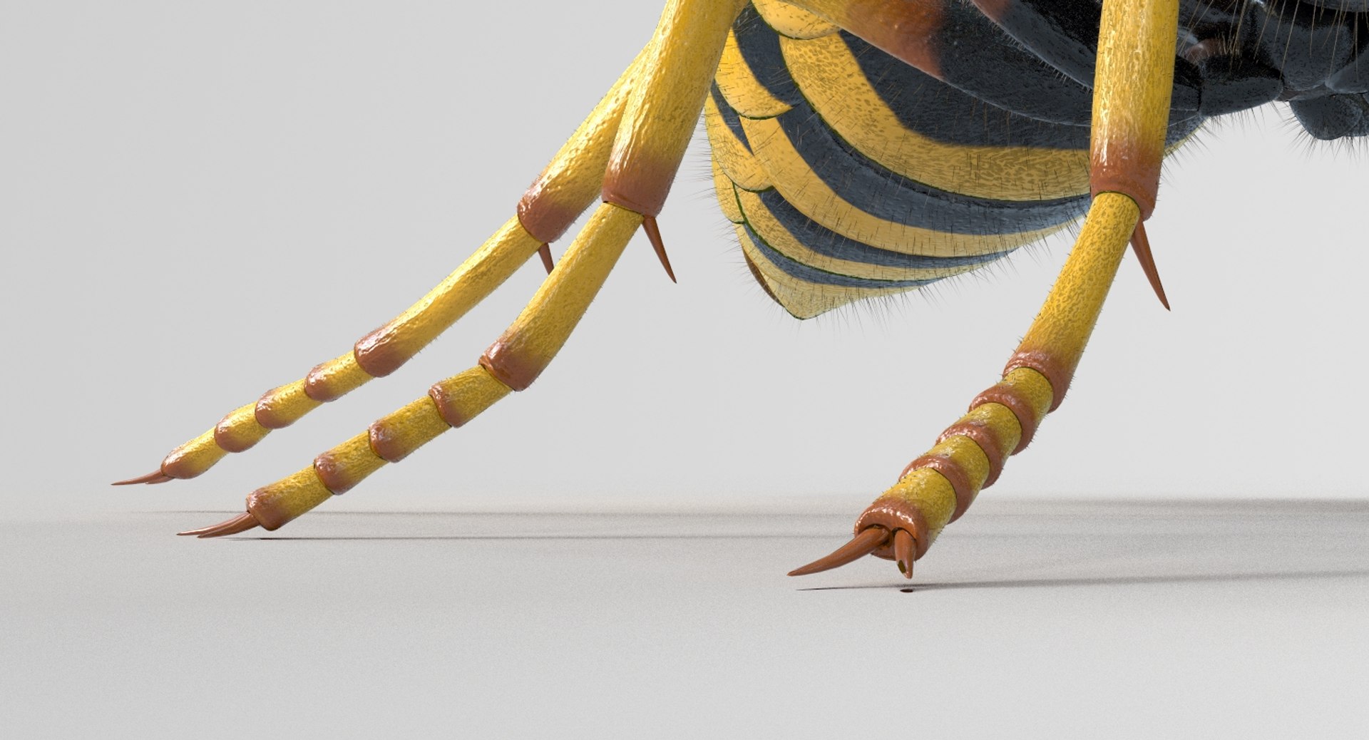 Realistic Wasp 3D Model - TurboSquid 1323287