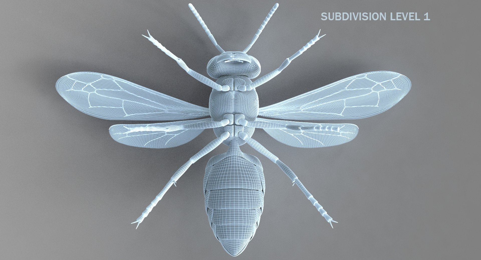 Realistic wasp 3D model - TurboSquid 1323287