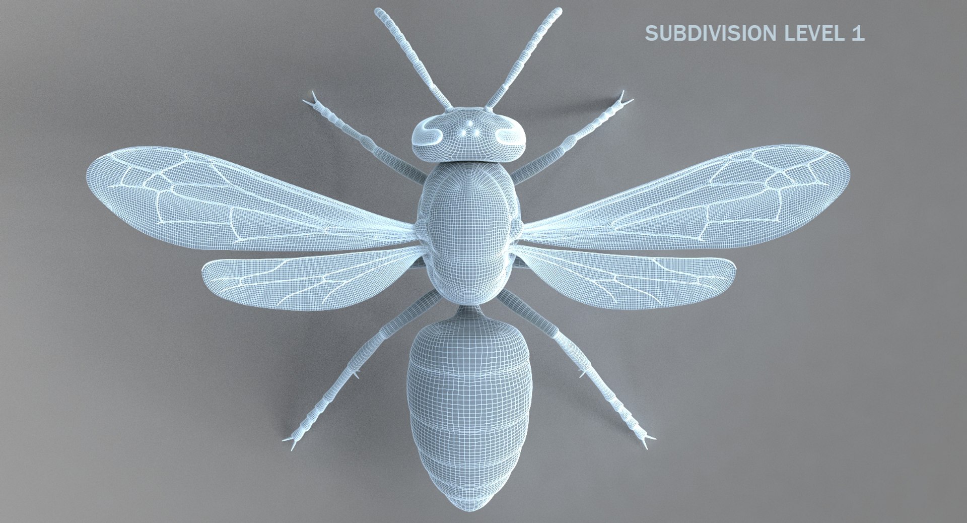 Realistic Wasp 3D Model - TurboSquid 1323287