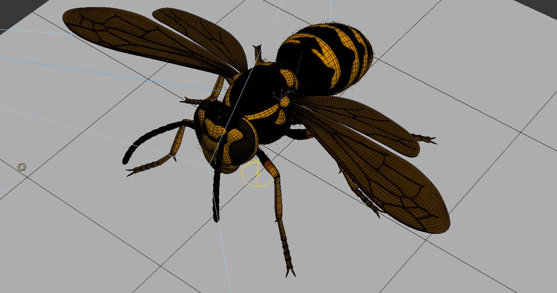 Realistic wasp 3D model - TurboSquid 1323287