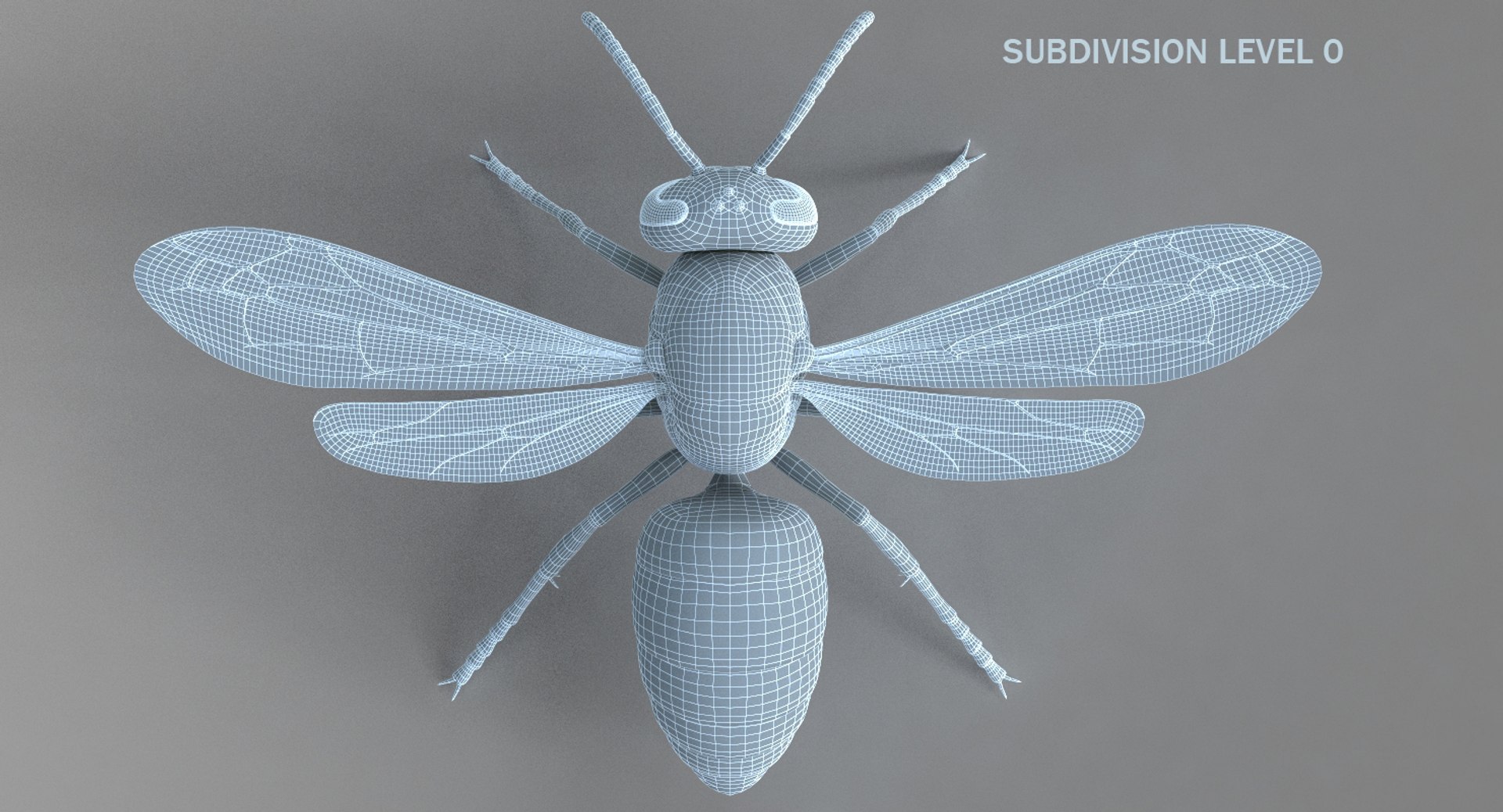 Realistic Wasp 3D Model - TurboSquid 1323287
