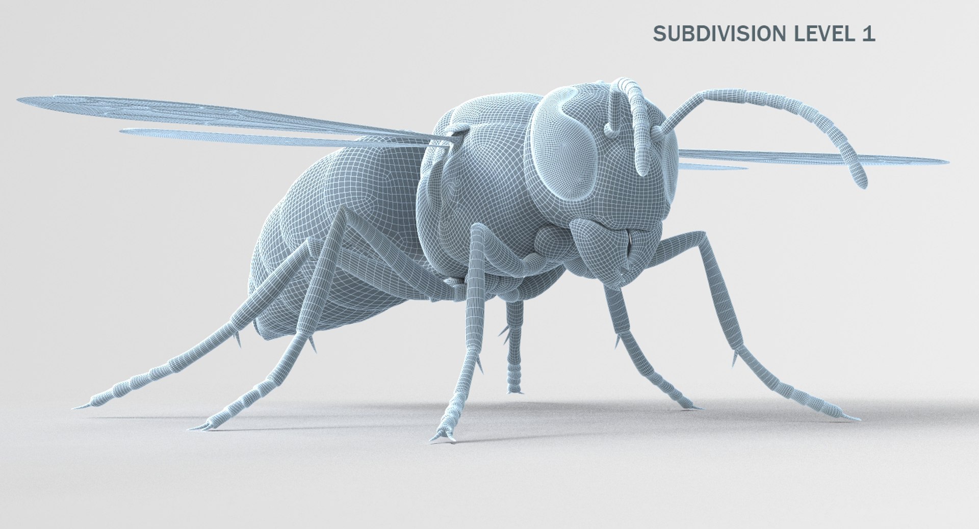 Realistic Wasp 3D Model - TurboSquid 1323287