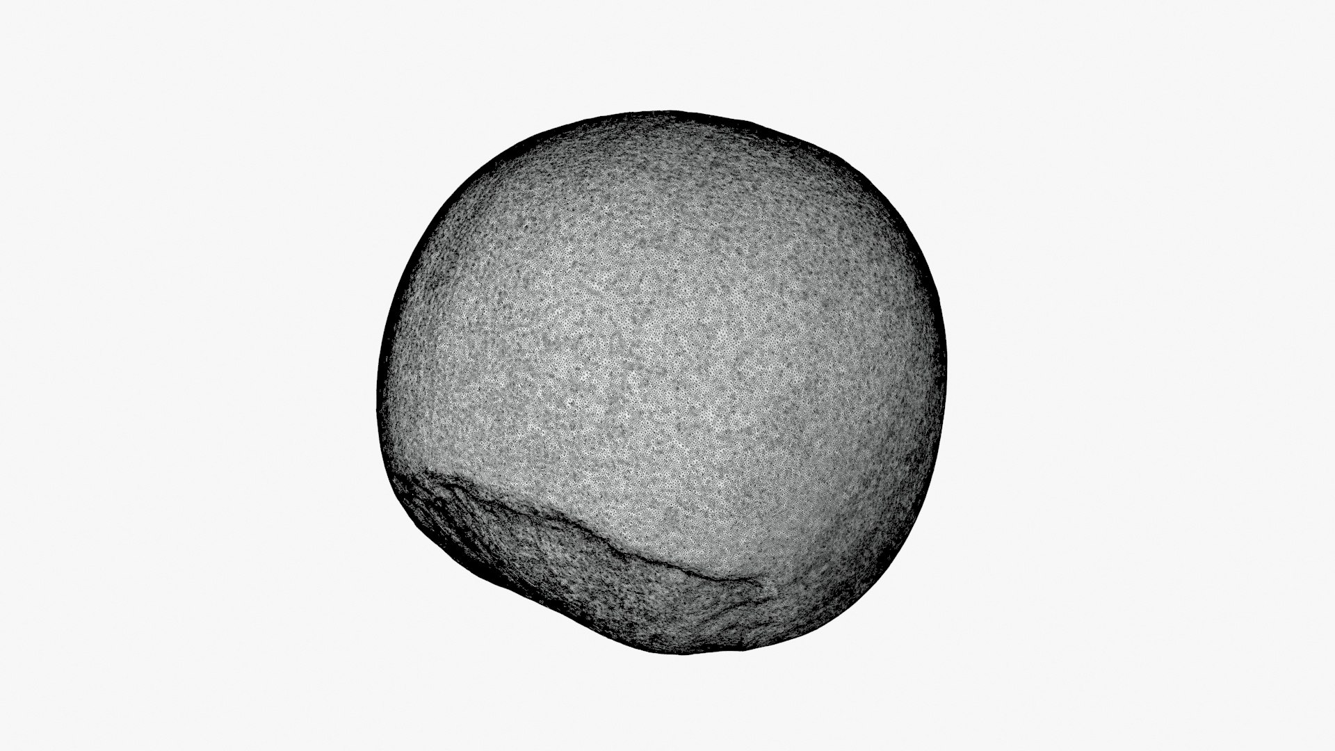 Hazelnut In Shell 04 3D Print 3D - TurboSquid 2288123