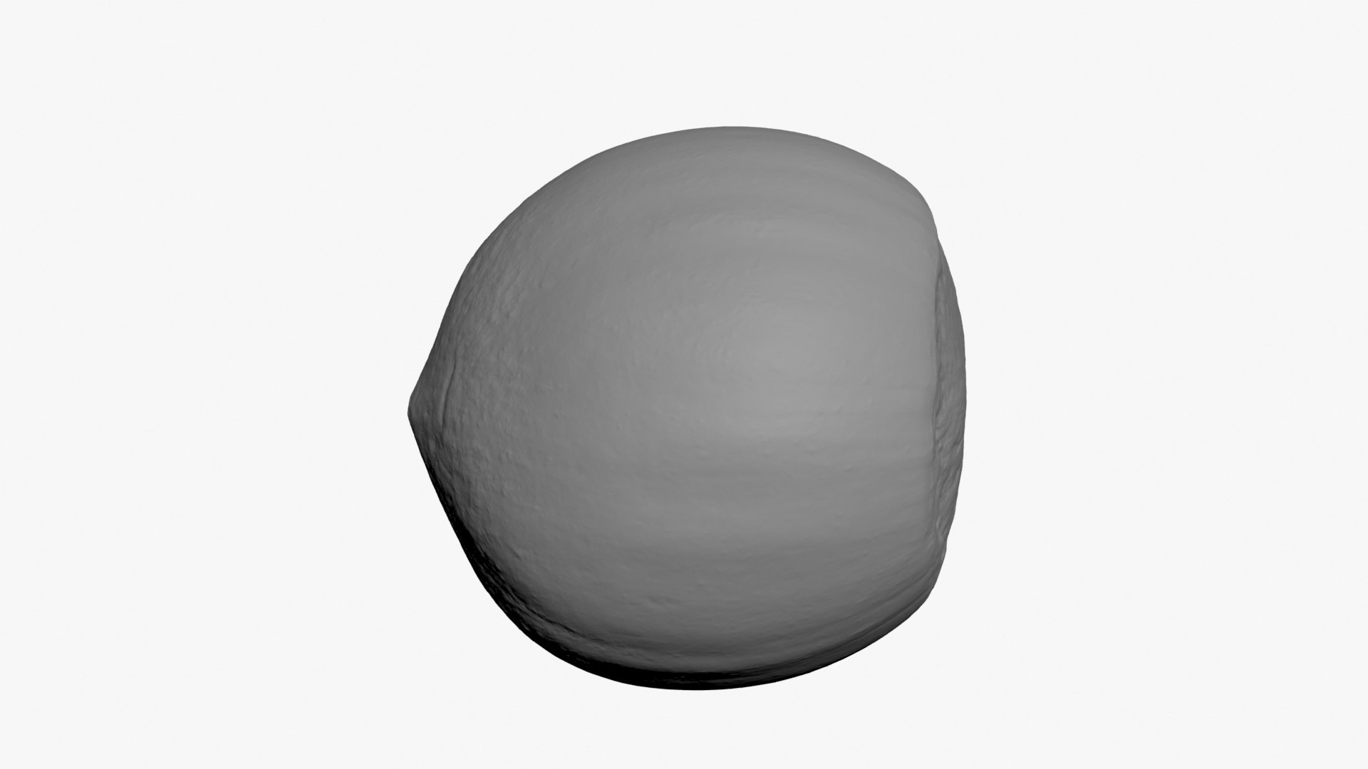 Hazelnut In Shell 04 3D Print 3D - TurboSquid 2288123