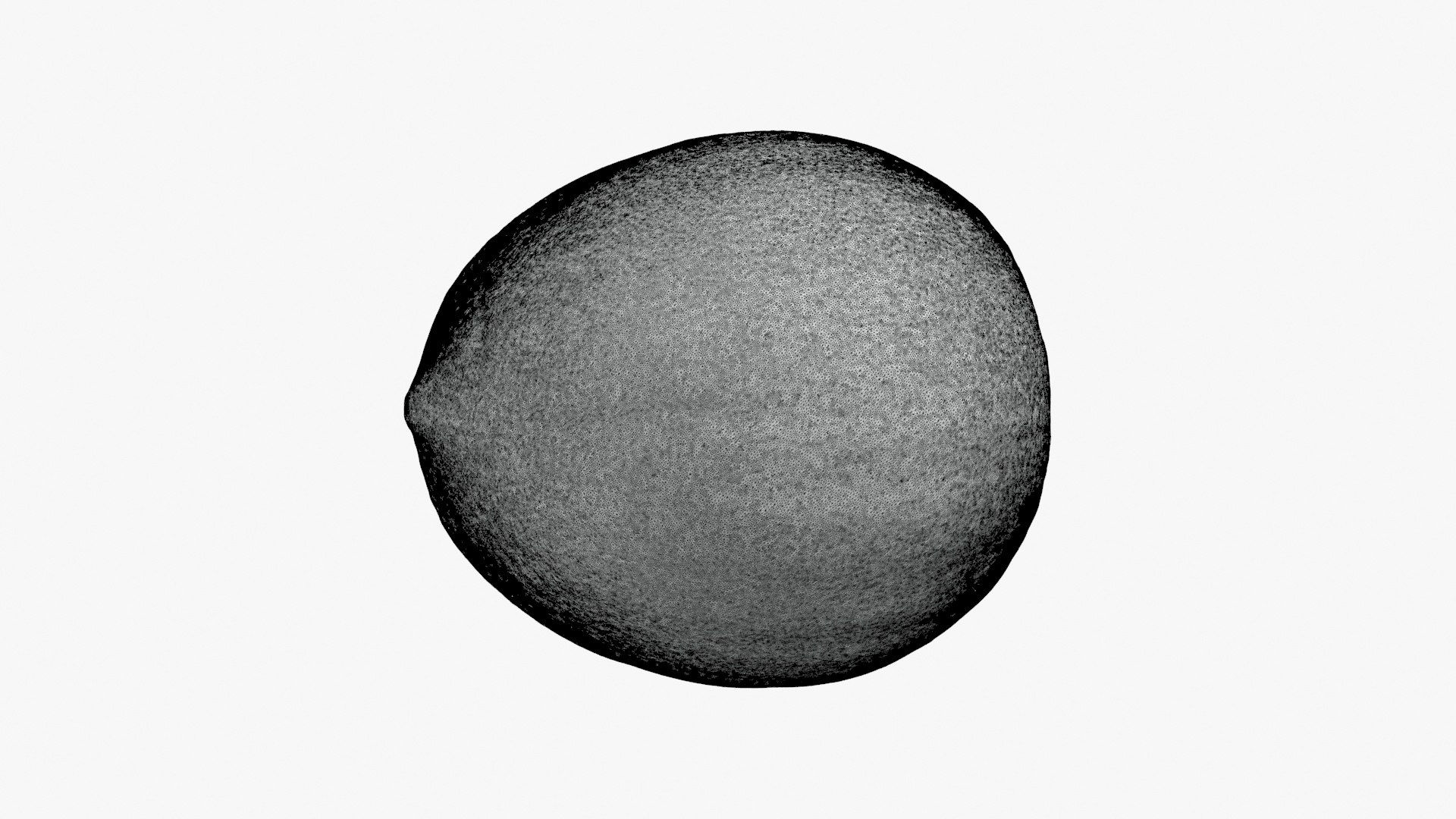 Hazelnut In Shell 04 3D Print 3D - TurboSquid 2288123