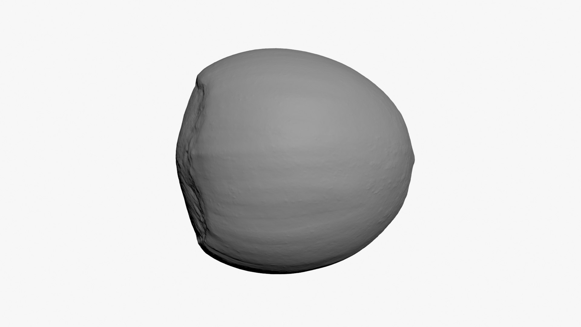 Hazelnut In Shell 04 3D Print 3D - TurboSquid 2288123