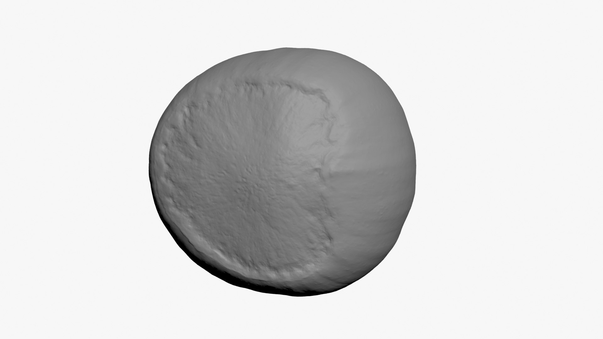 Hazelnut In Shell 04 3D Print 3D - TurboSquid 2288123