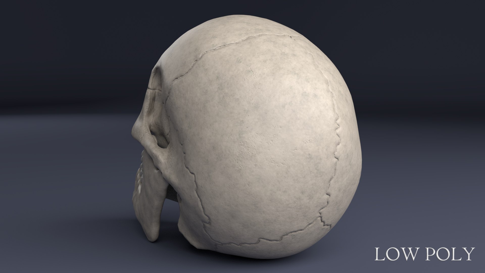 Human skull 3D - TurboSquid 1631190