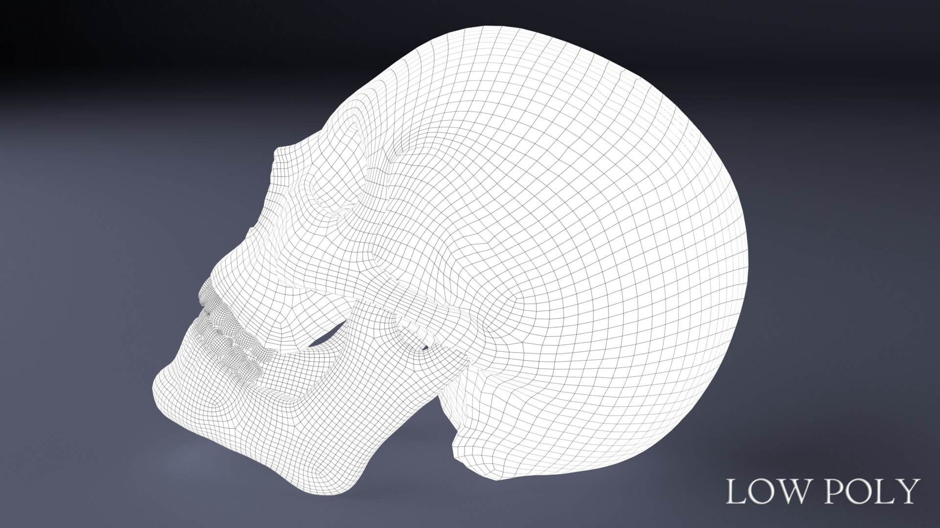 Human skull 3D - TurboSquid 1631190