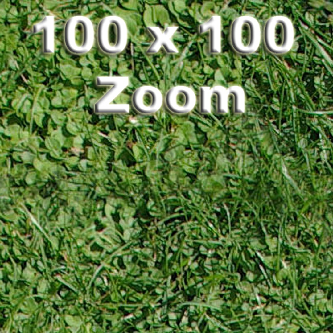 Resolution Grass 3d Model