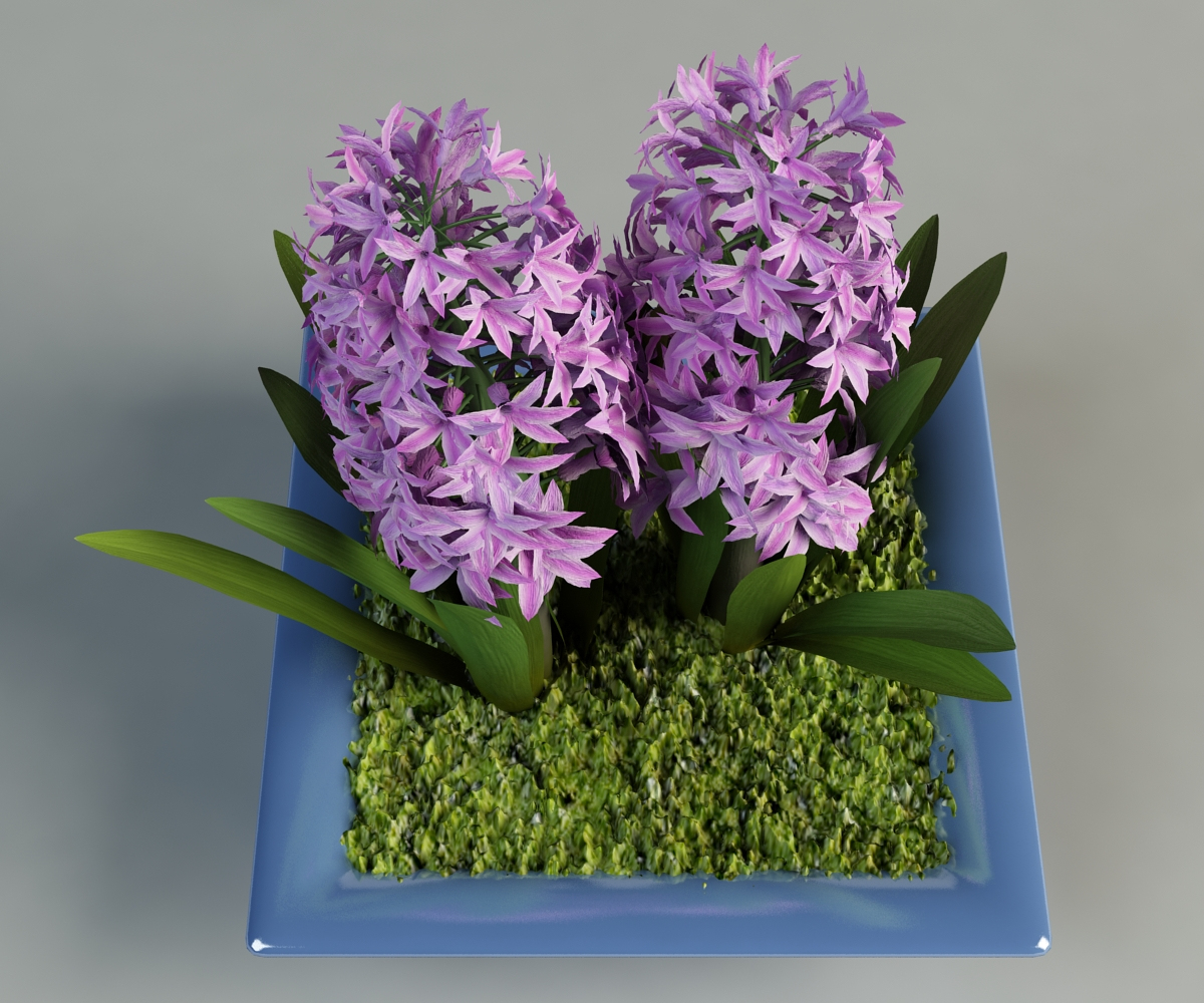 hyacinth pot 3d model