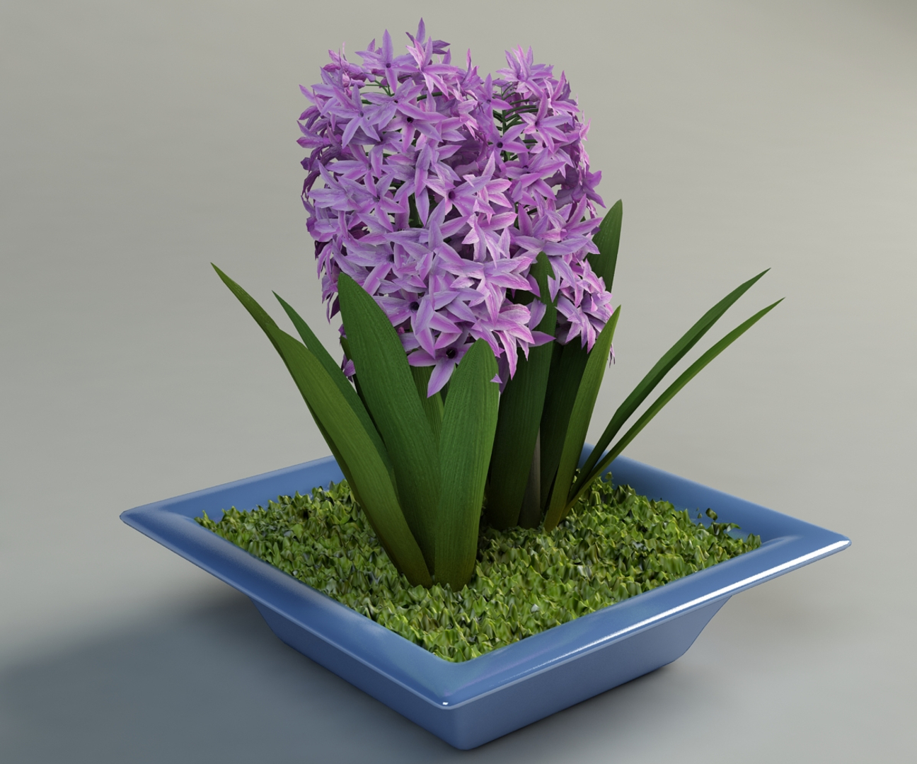 hyacinth pot 3d model