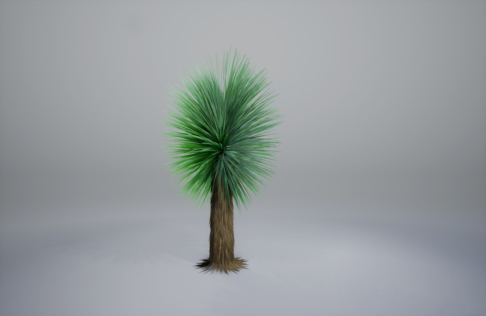 Yucca Pbr 3D Model - TurboSquid 1359775