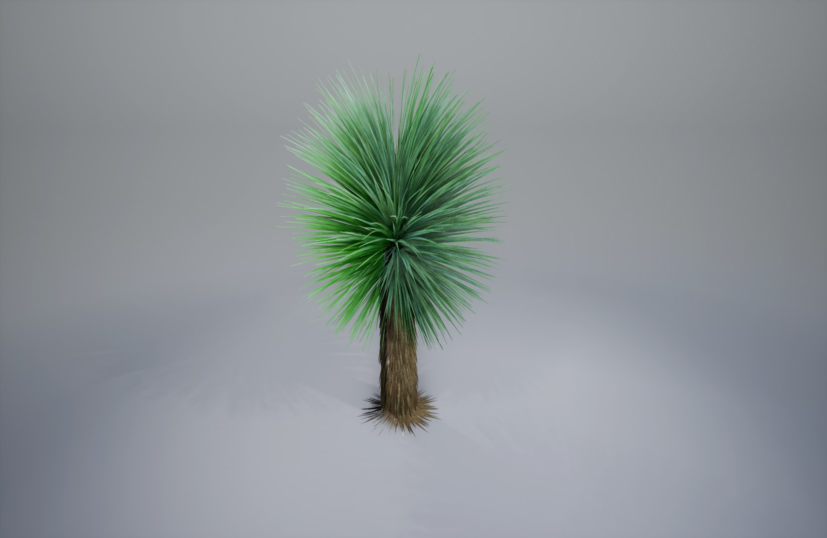 Yucca Pbr 3D Model - TurboSquid 1359775