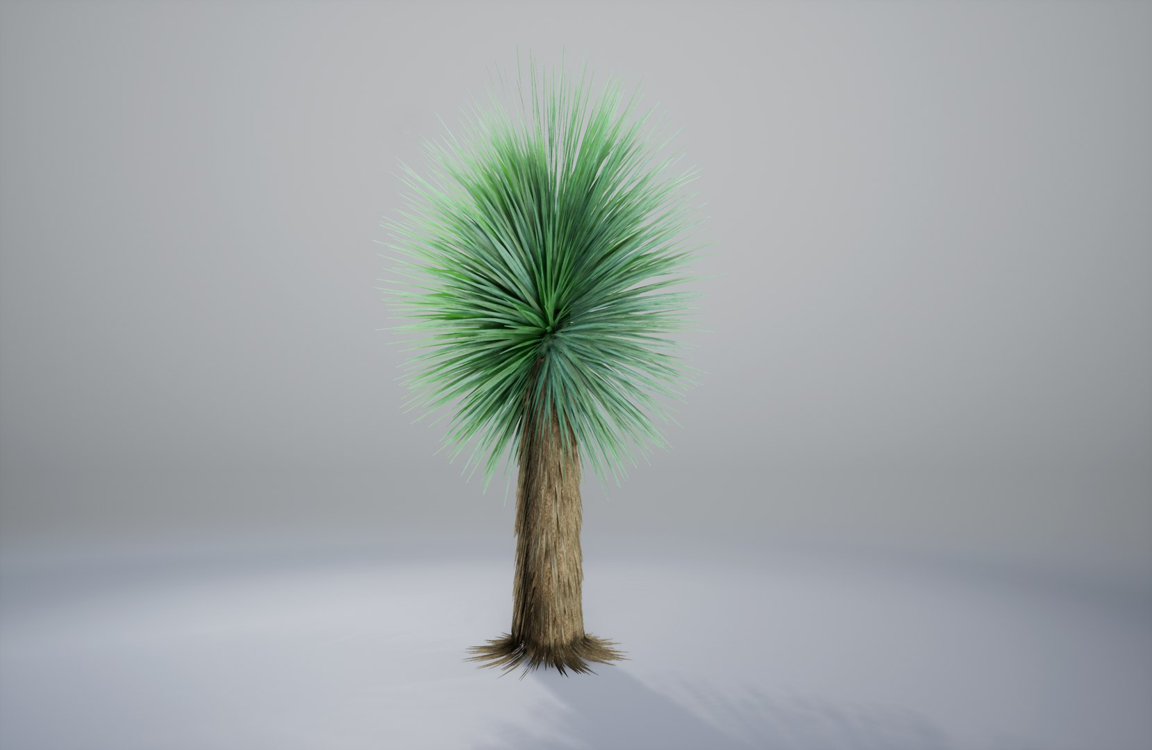 Yucca Pbr 3D Model - TurboSquid 1359775