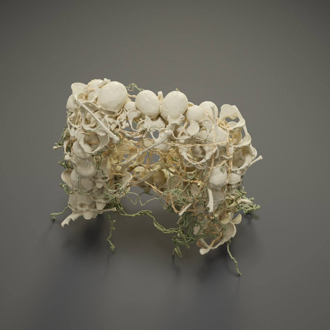 Letter R Bones Skeleton 3D - TurboSquid 1546267