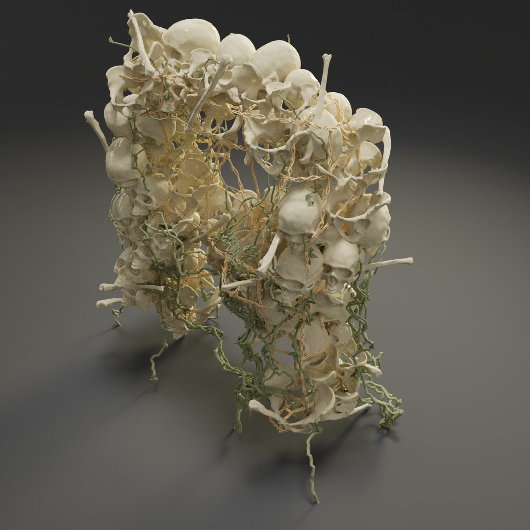 Letter R Bones Skeleton 3D - TurboSquid 1546267