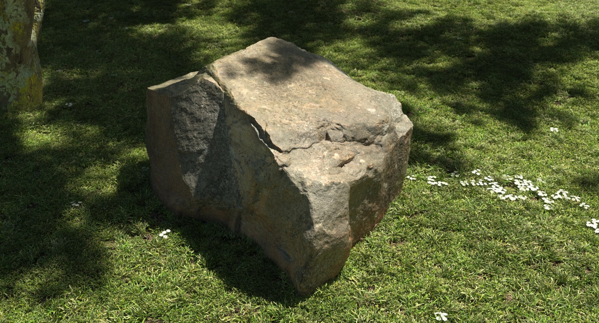 3d Scan Rock