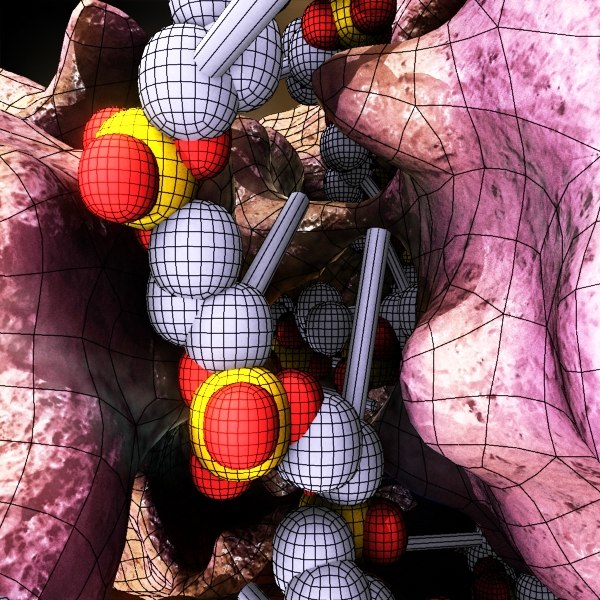 3d model rna polymerase protein