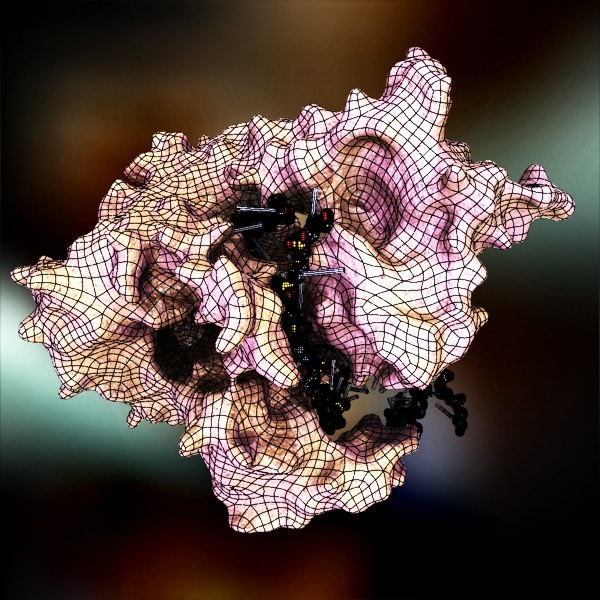 3d model rna polymerase protein