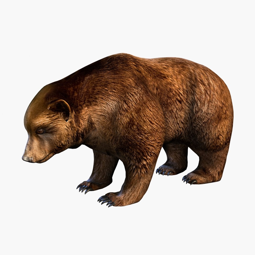 3ds max bear