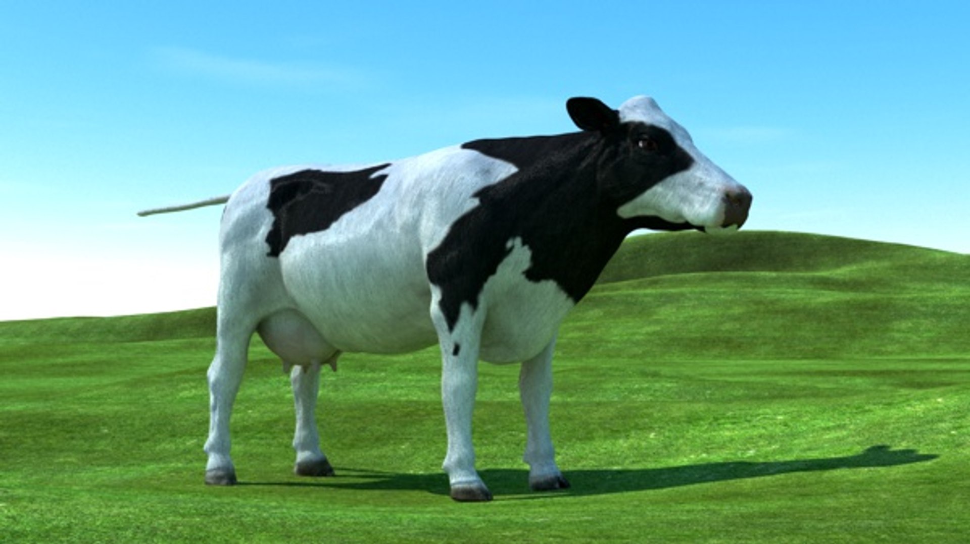 Cow Animal Realistic 3d Model