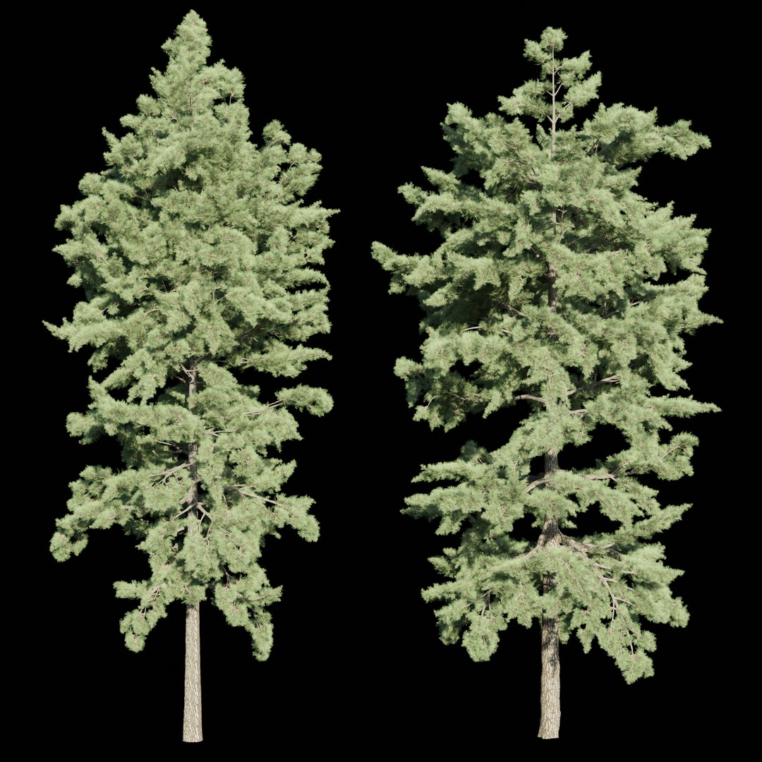 3D Conifer Trees Vol 92-Blender - TurboSquid 2133034