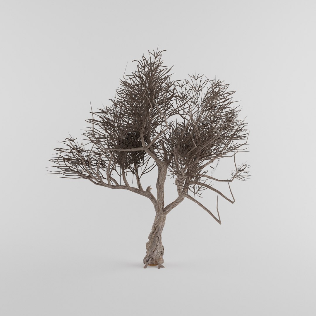 3D Tree Collection - TurboSquid 1891823