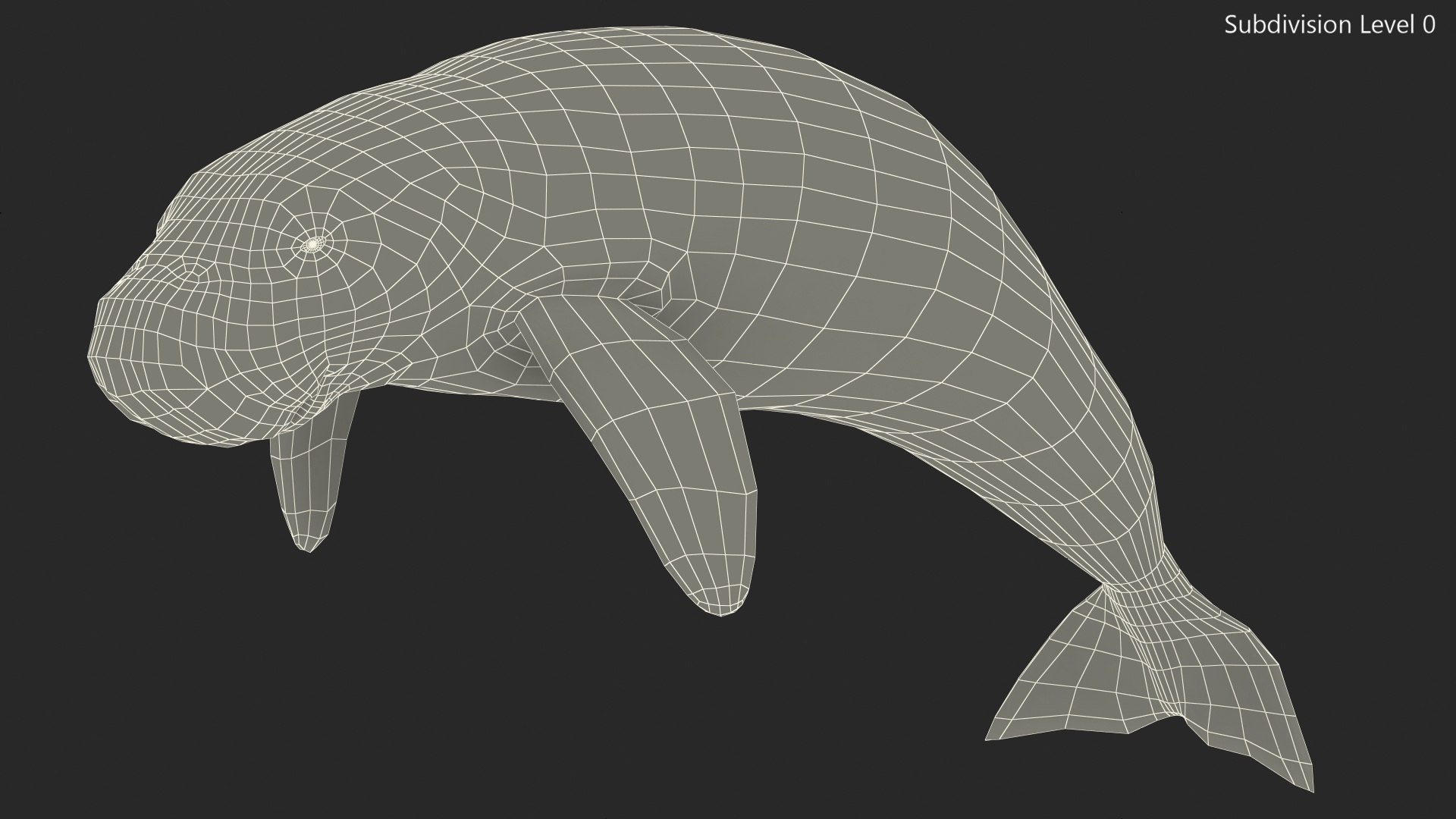 3D dugong swimming pose model - TurboSquid 1519004
