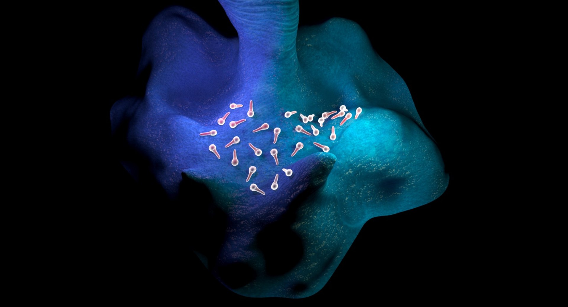 3D Tetanus - TurboSquid 1324704