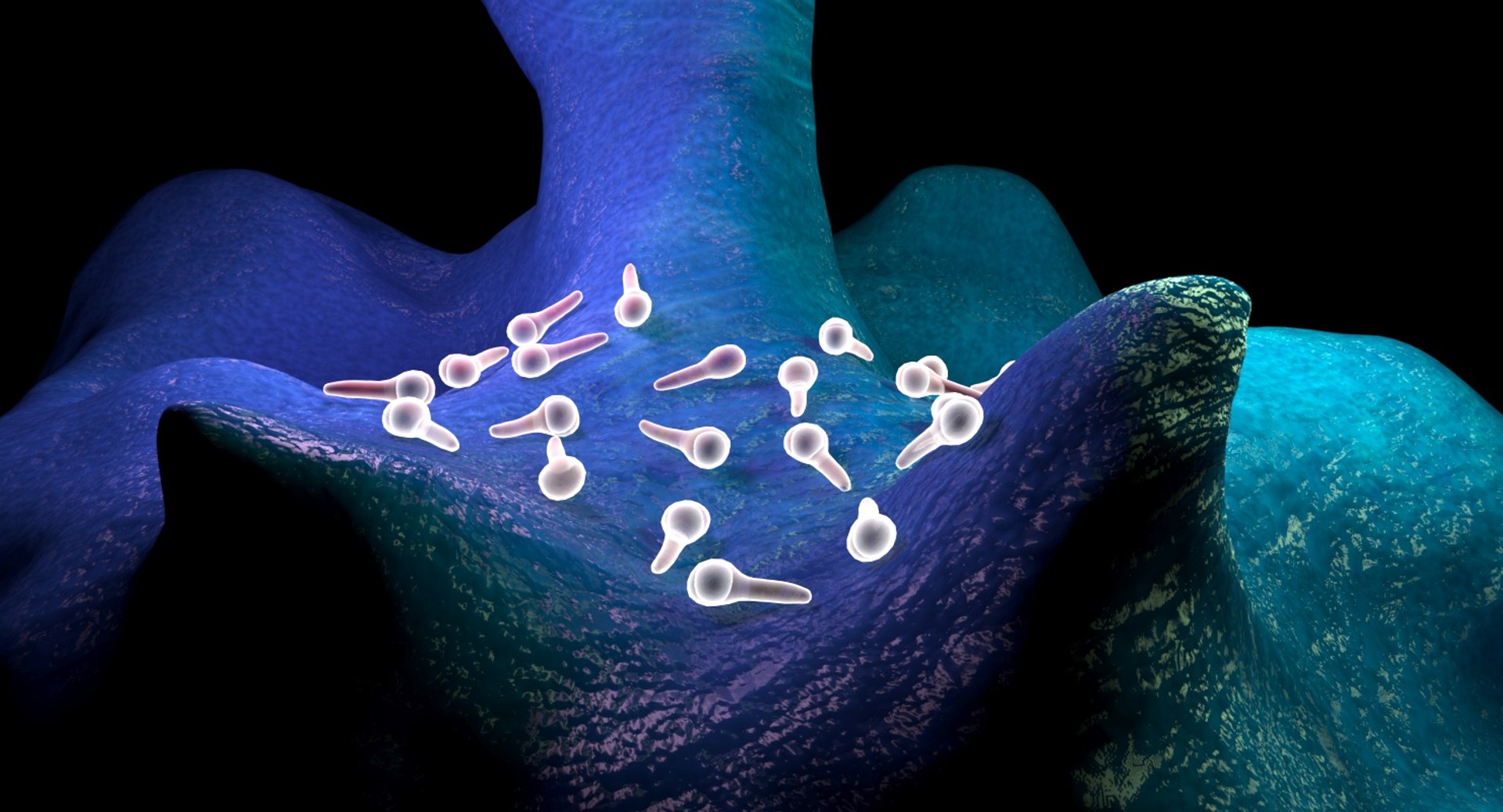 3D Tetanus - TurboSquid 1324704