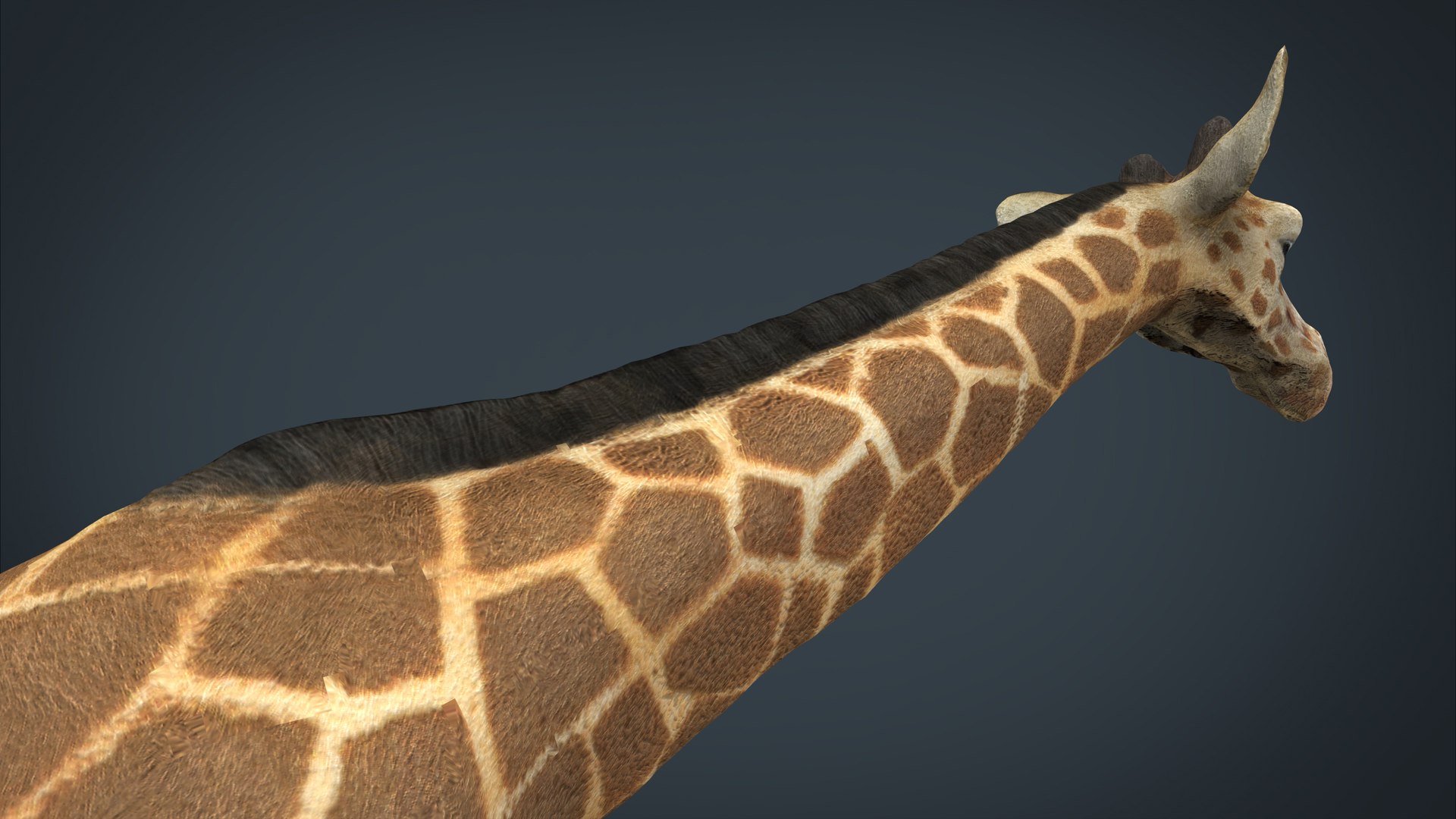 3d Model Giraffe Stl