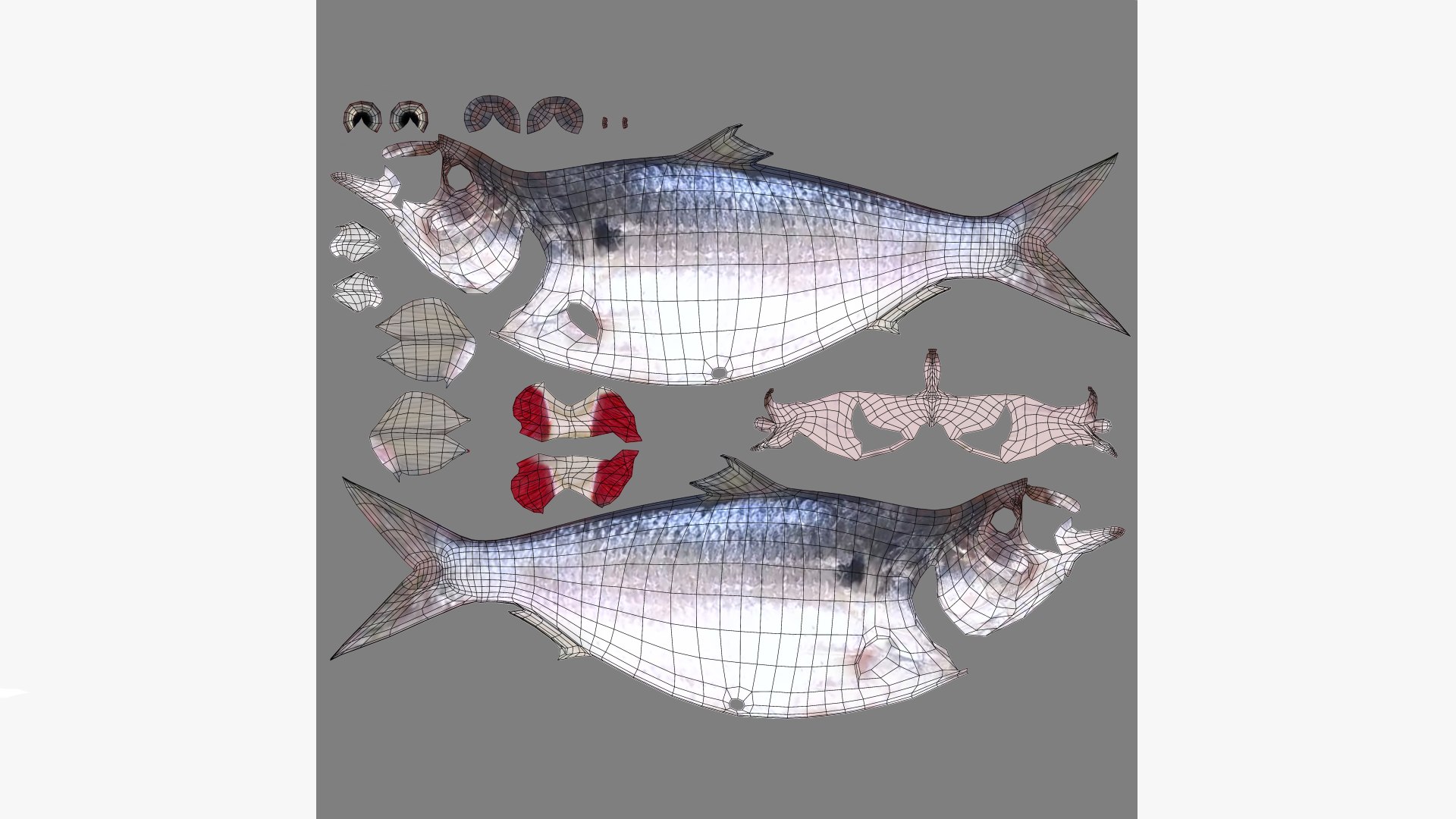 3D Model Toli Shad - TurboSquid 2339977