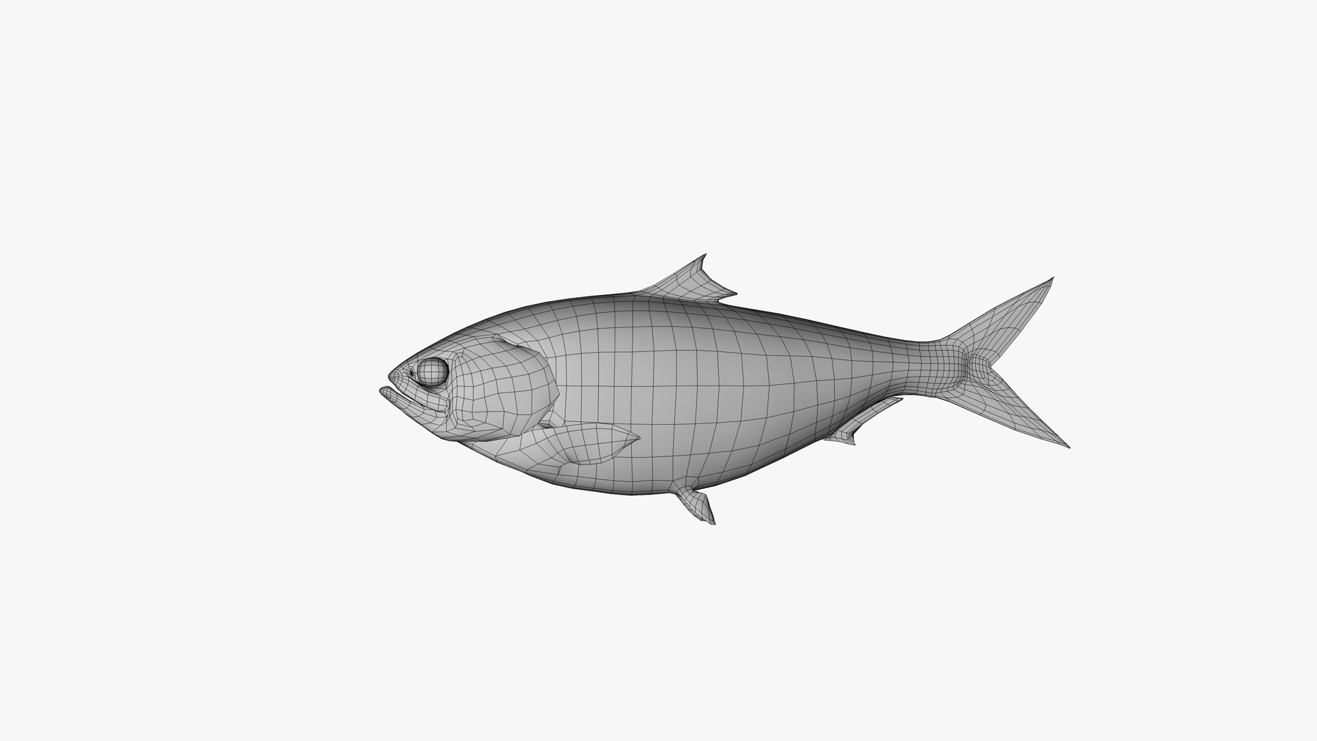 3D Model Toli Shad - TurboSquid 2339977