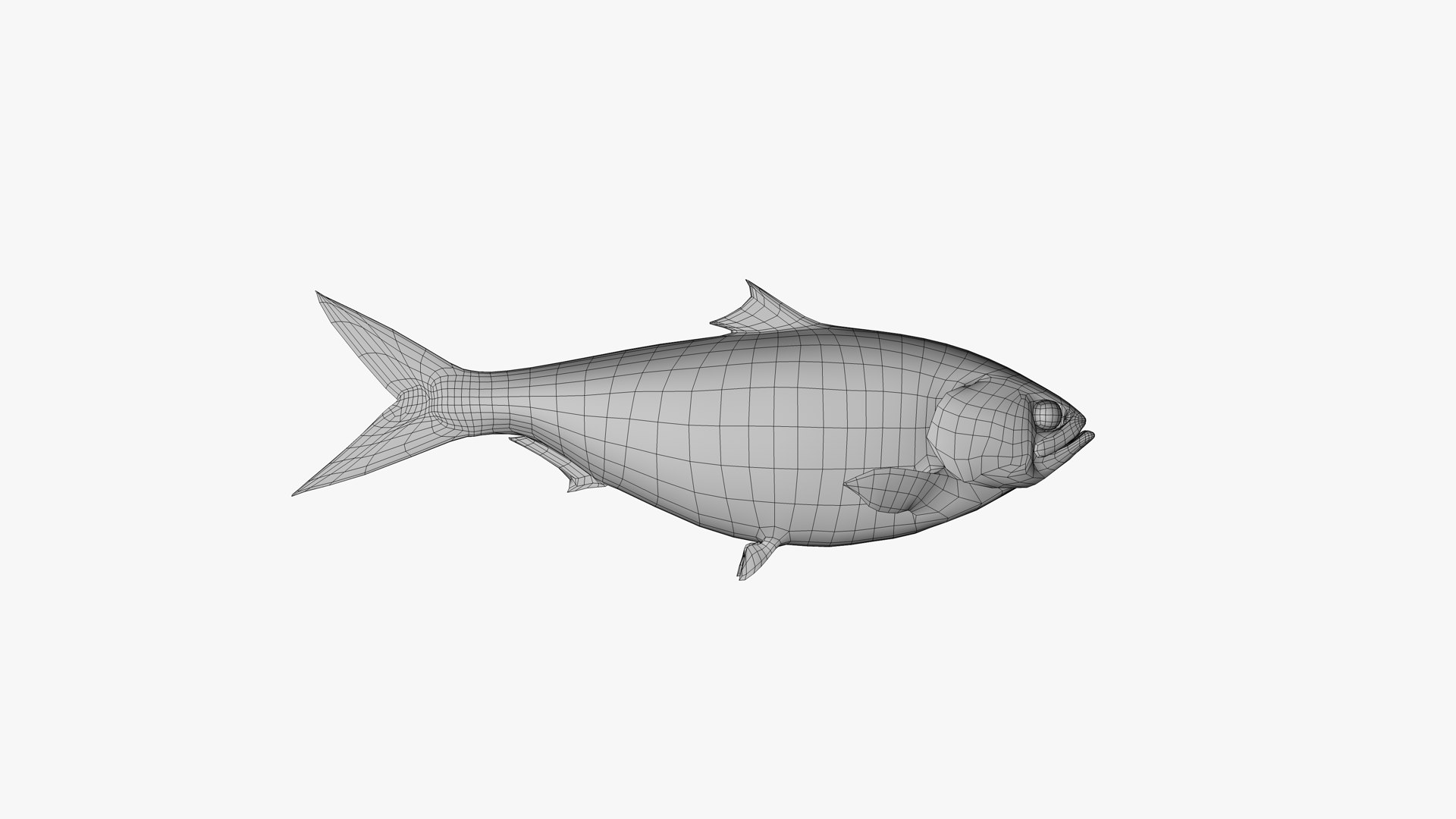 3D Model Toli Shad - TurboSquid 2339977