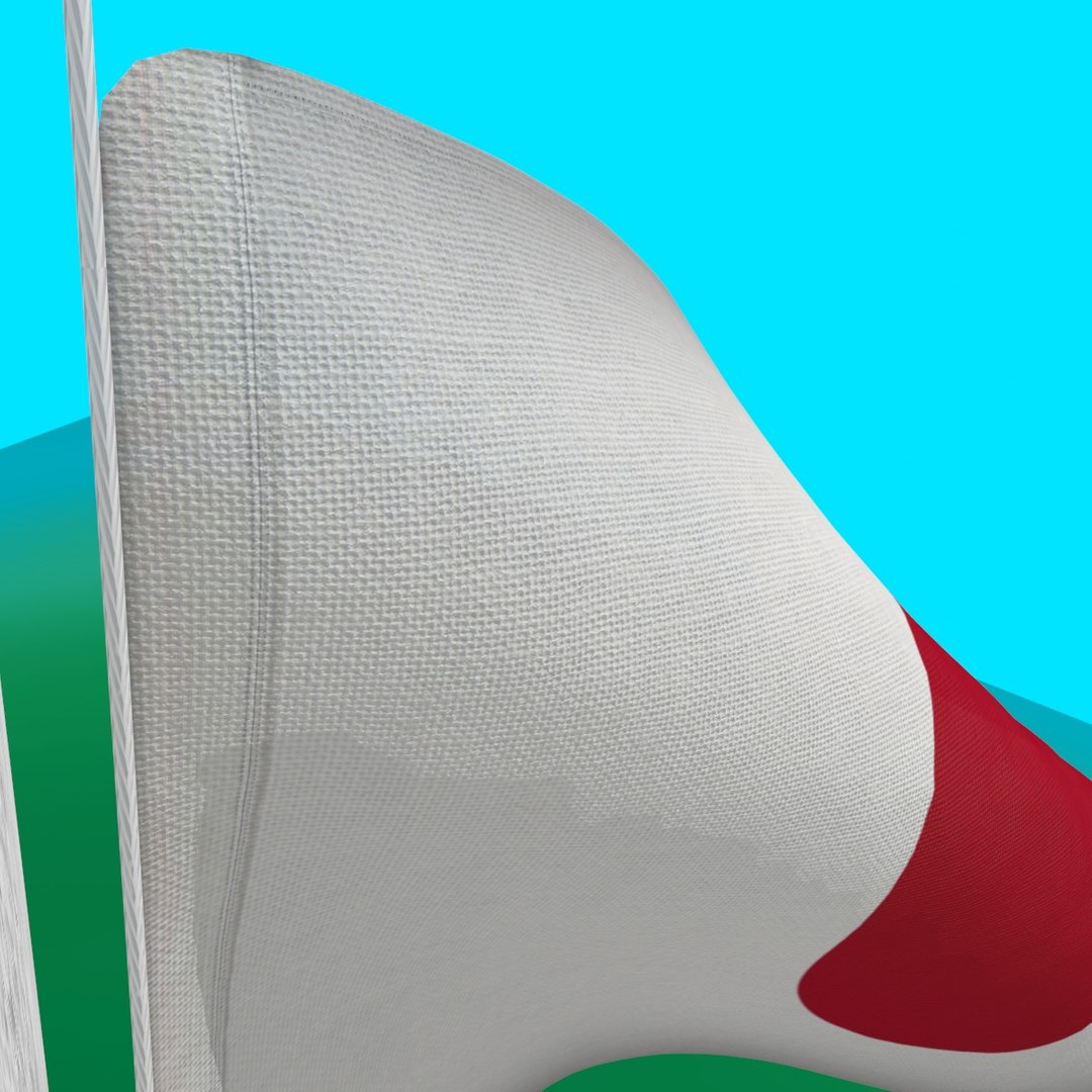 Flags Japan - Loop Max