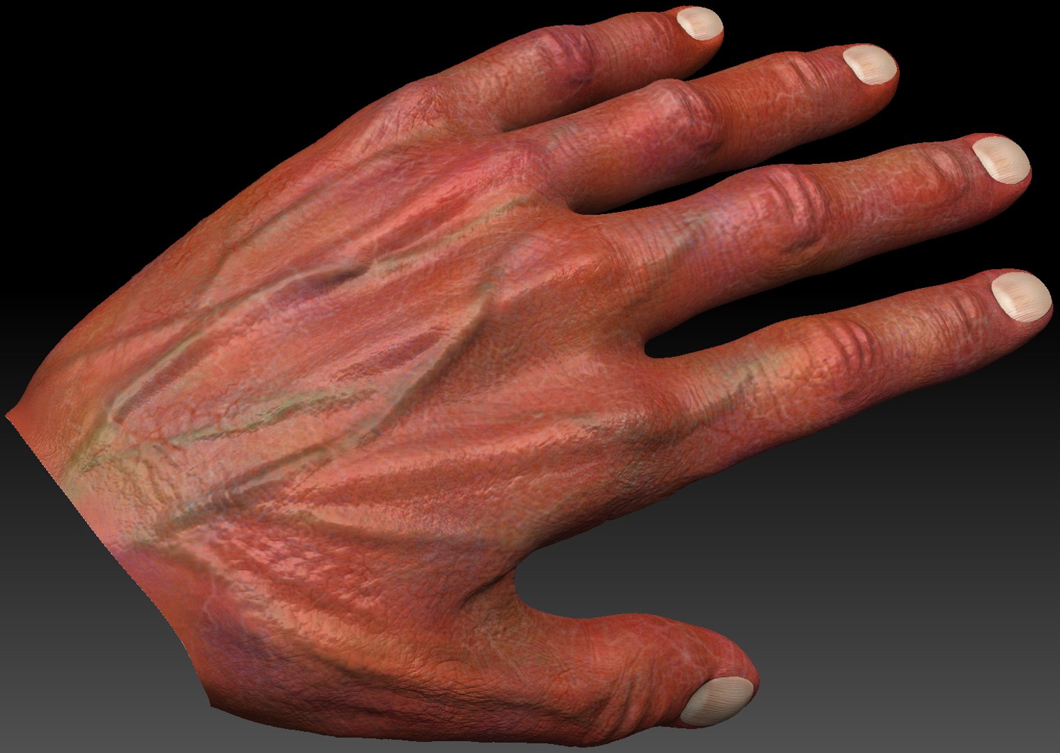 Obj Realistic Male Hand