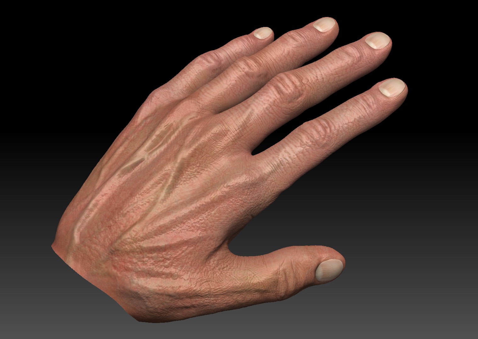 Obj Realistic Male Hand