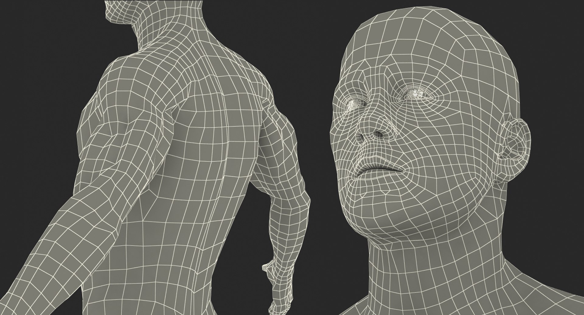 3D model anatomy male muscular rigged - TurboSquid 1243894