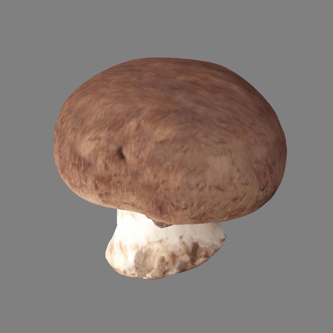3d mushroom model