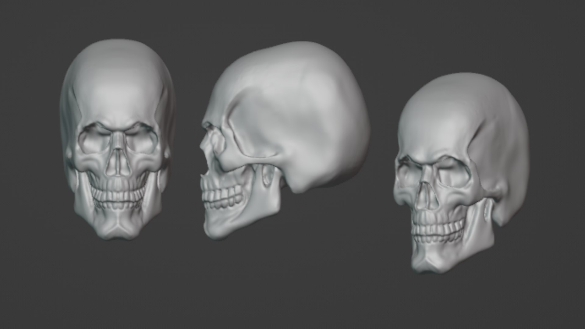 3D Skull - TurboSquid 2031390