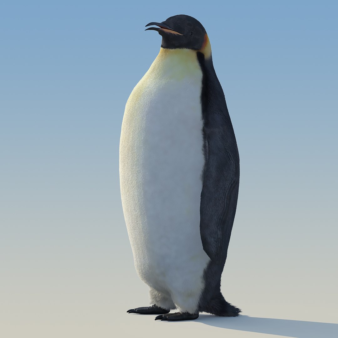 emperor penguin group fur 3d max