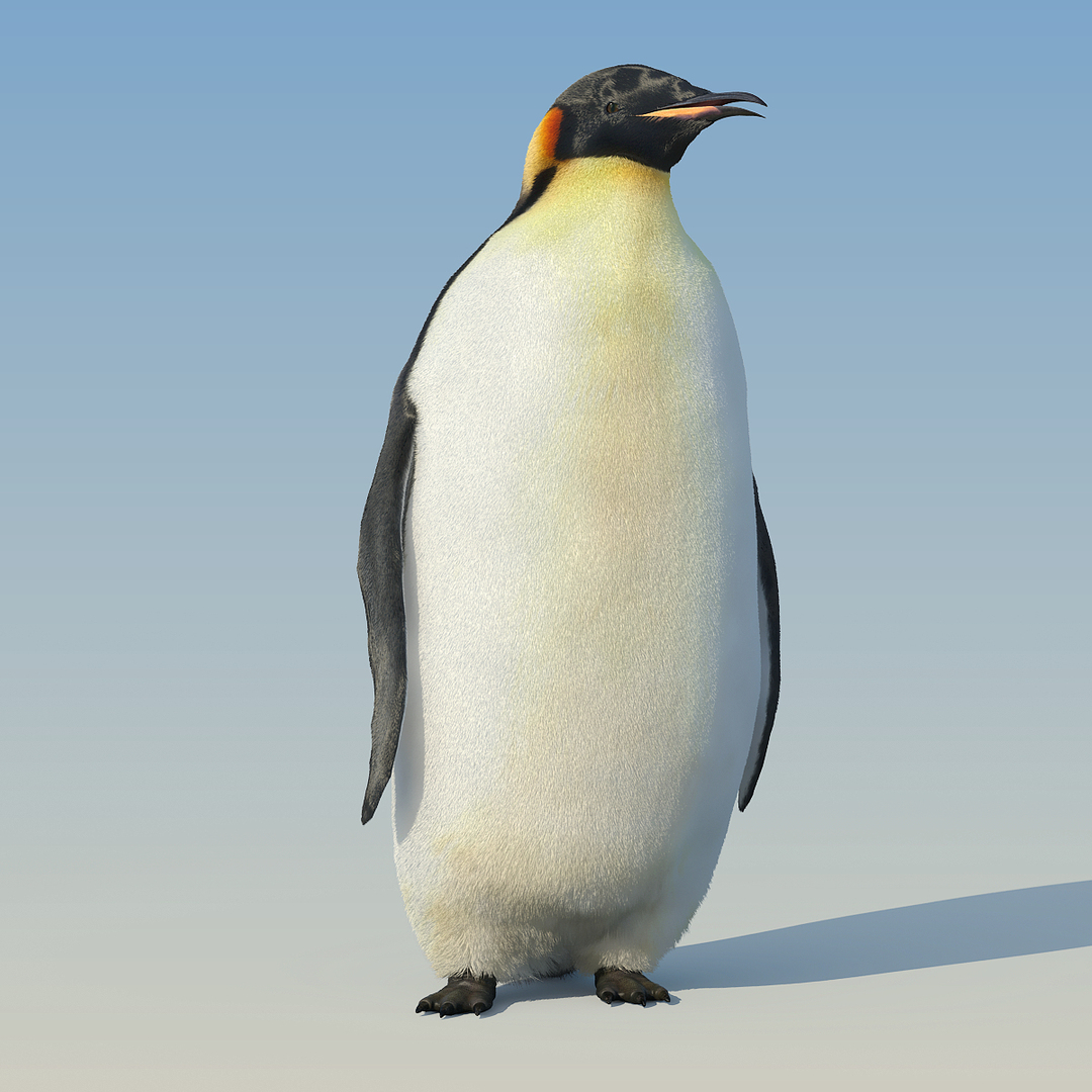 emperor penguin group fur 3d max