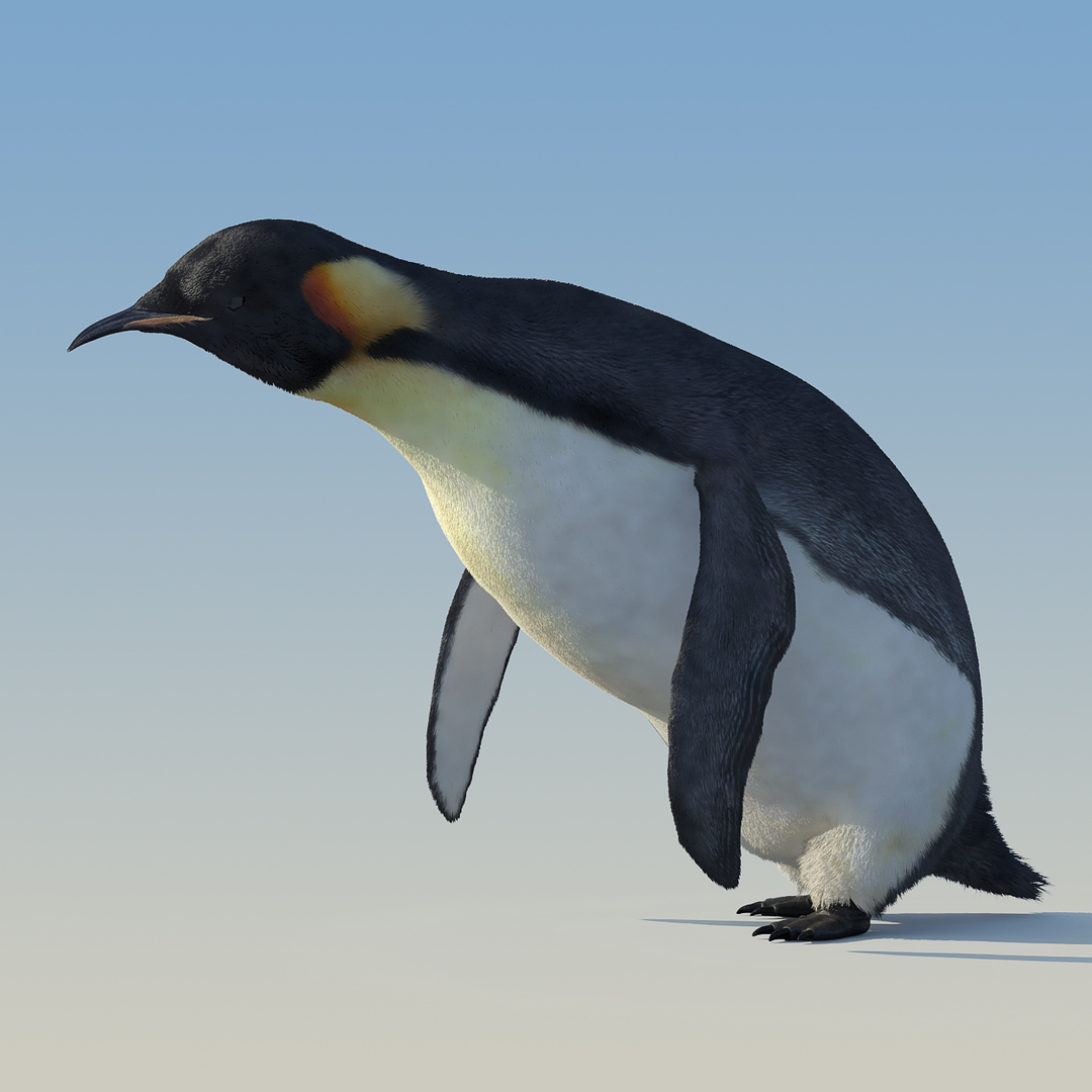 emperor penguin group fur 3d max