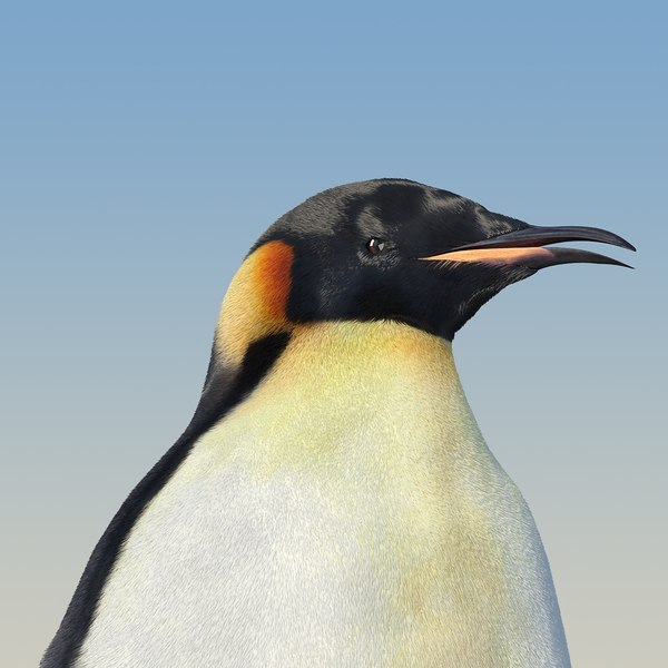 emperor penguin group fur 3d max