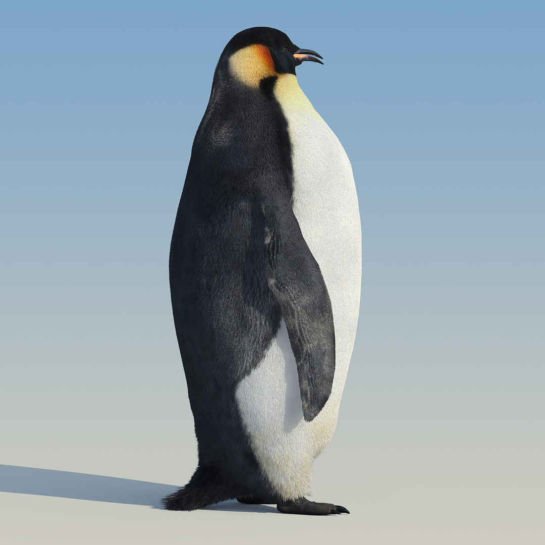 emperor penguin group fur 3d max