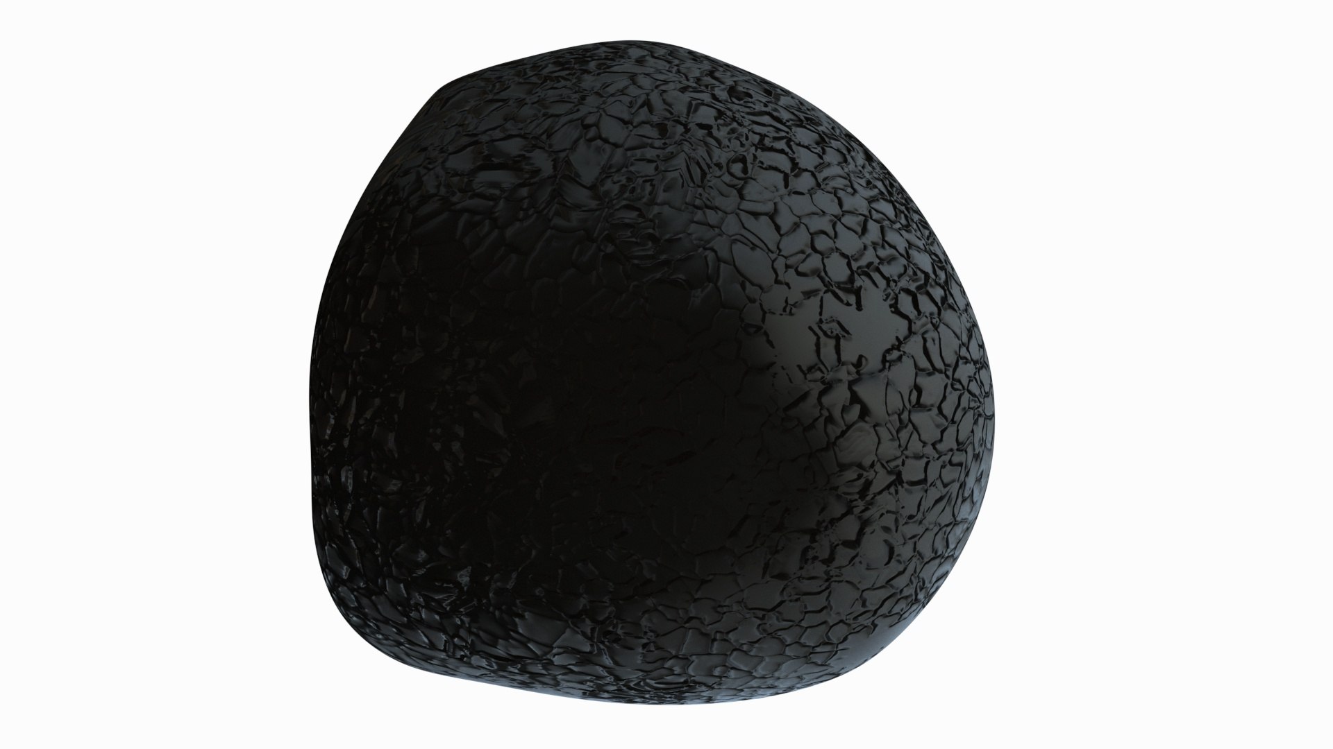 3D Model Black Truffle - TurboSquid 1957302