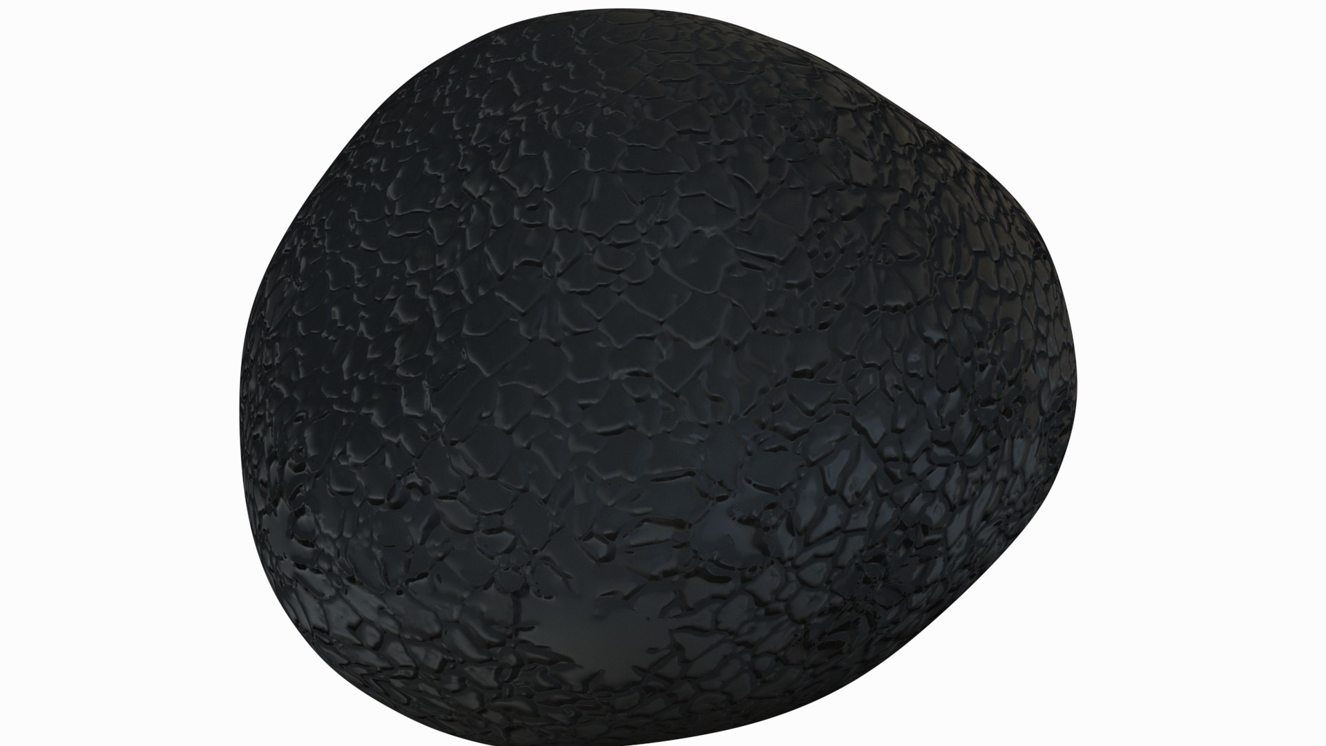 3D Model Black Truffle - TurboSquid 1957302