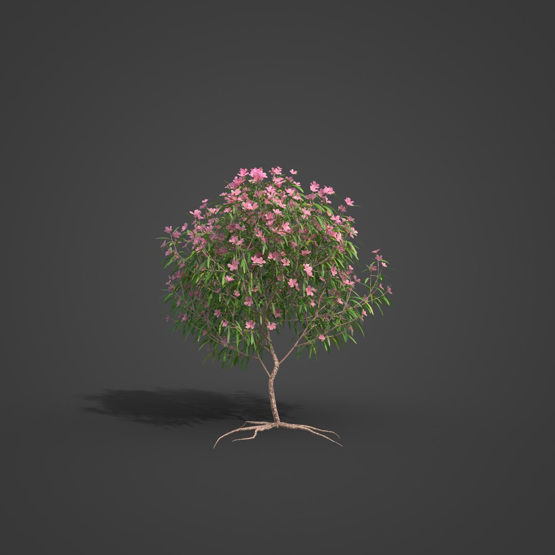 2021 PBR Oleander Collection - Nerium Oleander 3D Model - TurboSquid ...