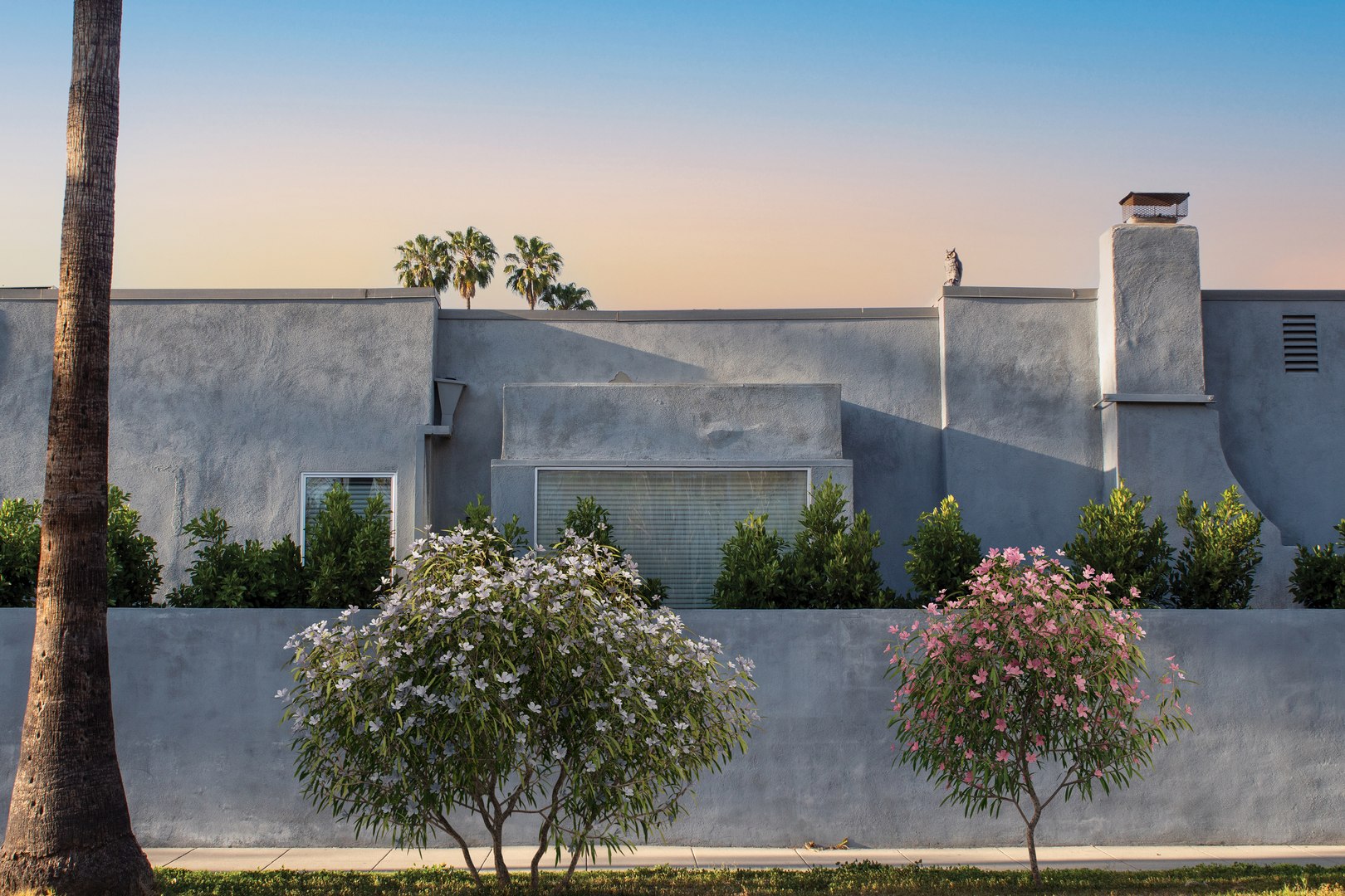 2021 PBR Oleander Collection - Nerium Oleander 3D Model - TurboSquid ...